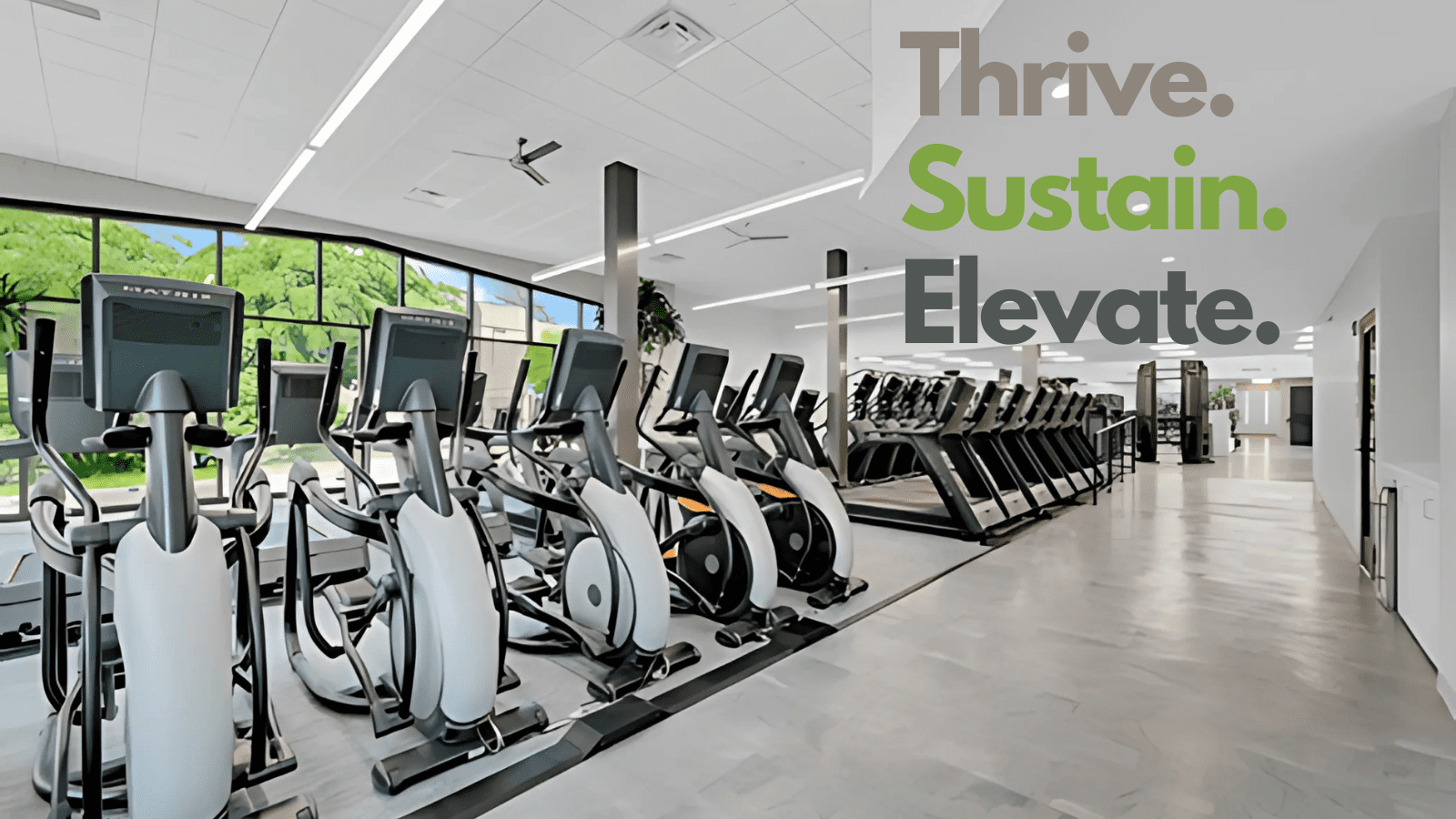 Updating to an Eco-friendly Gym is Easier Than you Think - Optimal ...